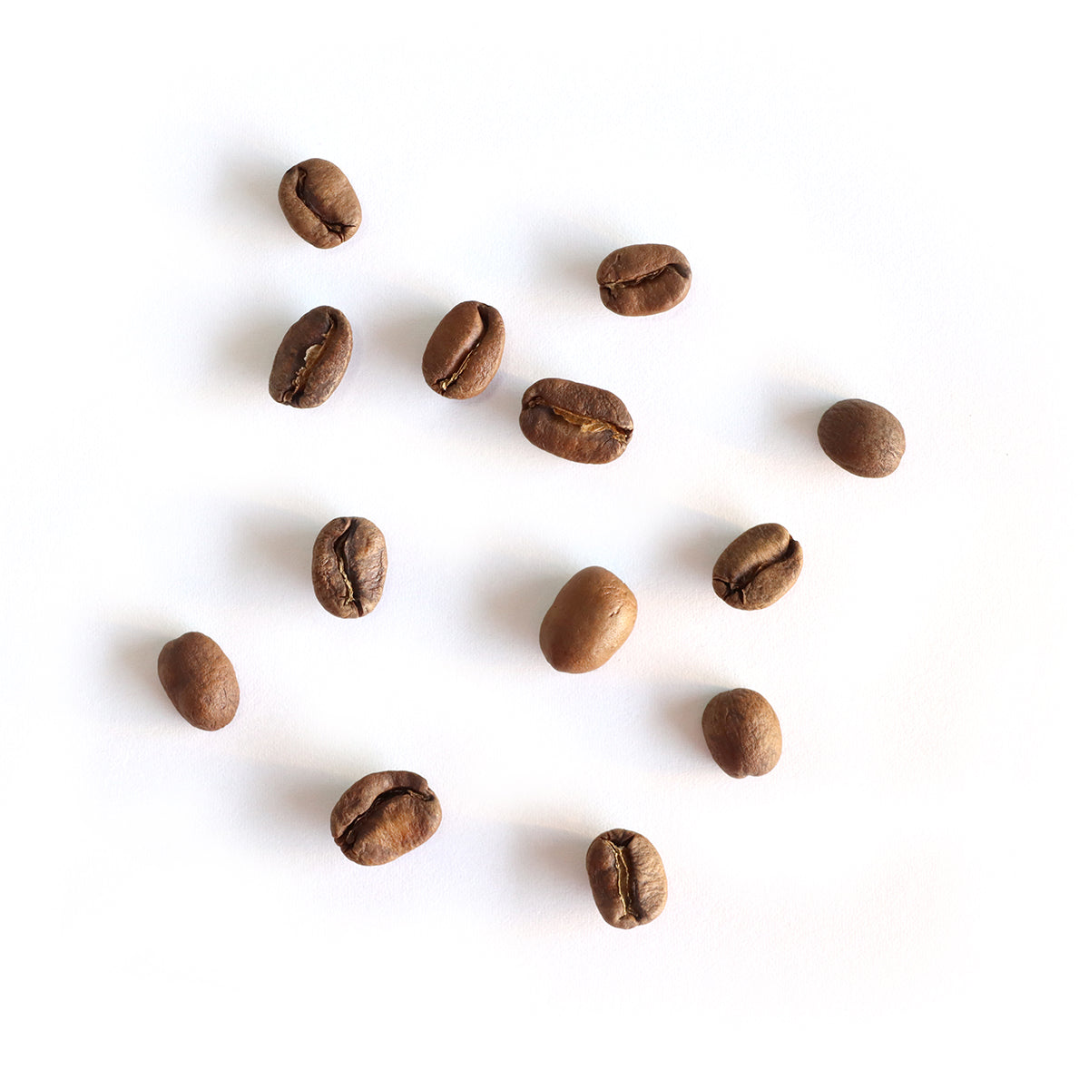 Single Origin - Coffee beans Australia Cota Rica Don Mayo COE 2021 ...